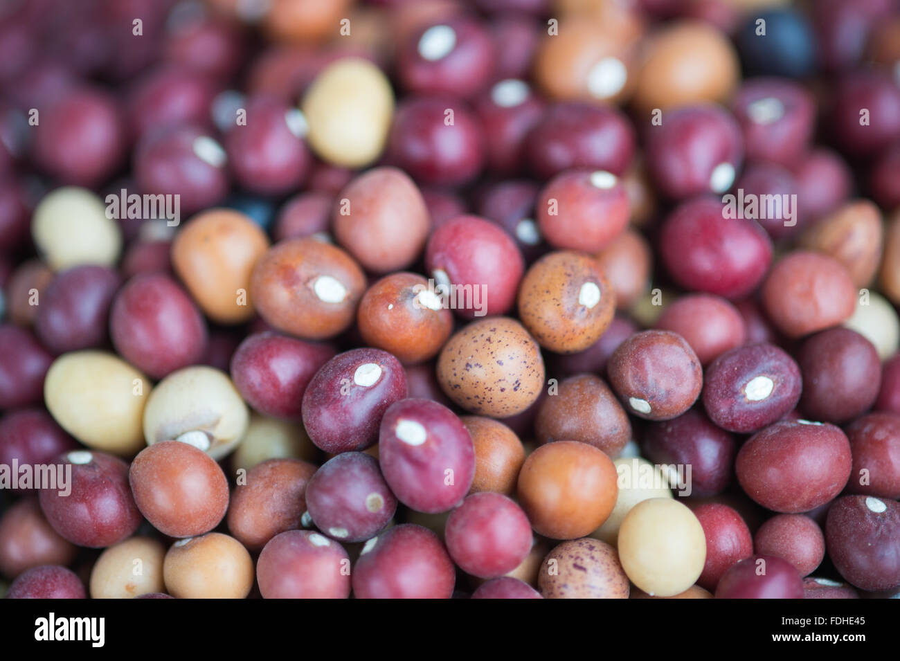 Grains and beans hi-res stock photography and images - Alamy