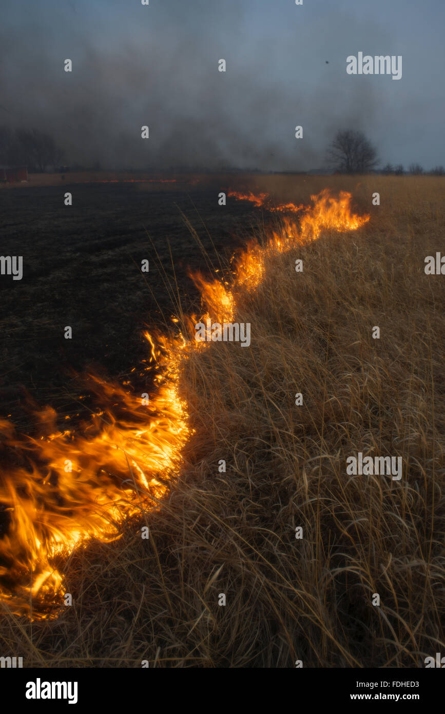 Soy crop fire hi-res stock photography and images - Alamy