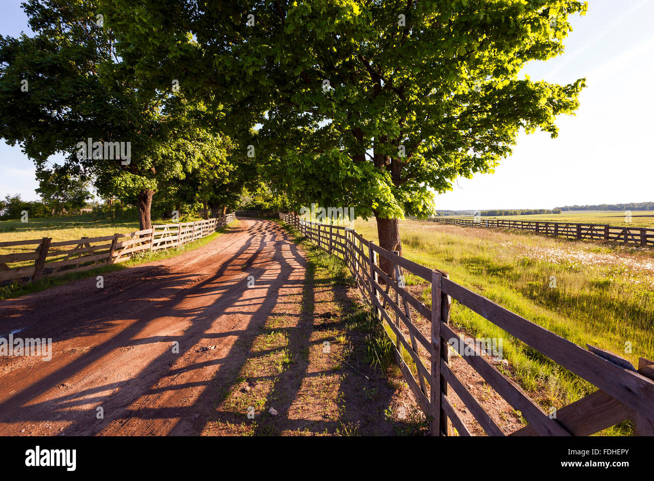 Driveway fence tree hi-res stock photography and images - Alamy