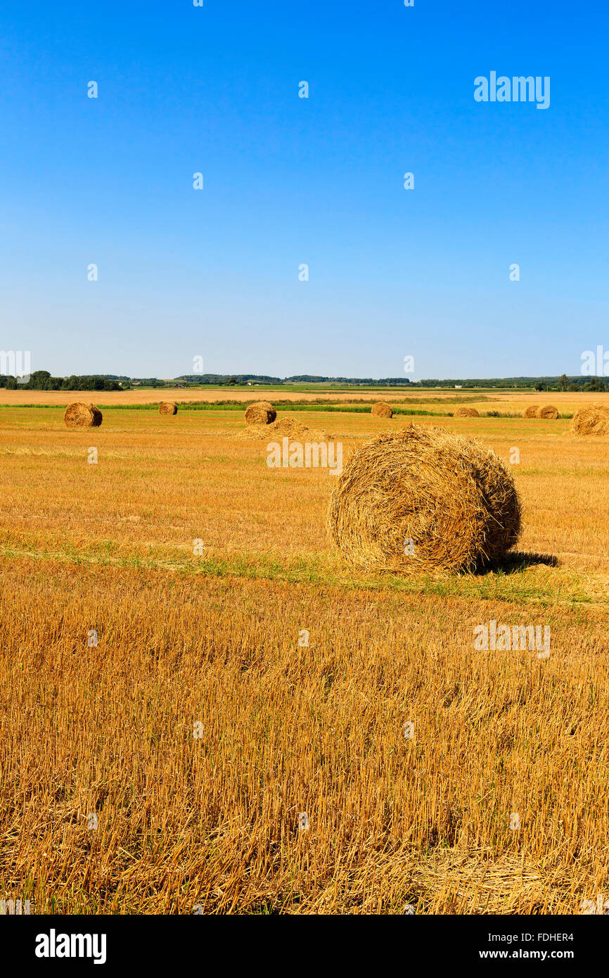 Stack of straw Stock Photo - Alamy