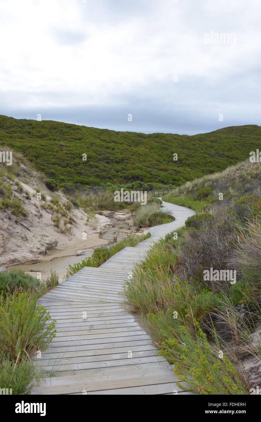 Wooden Walkway Western Australia High Resolution Stock Photography and ...