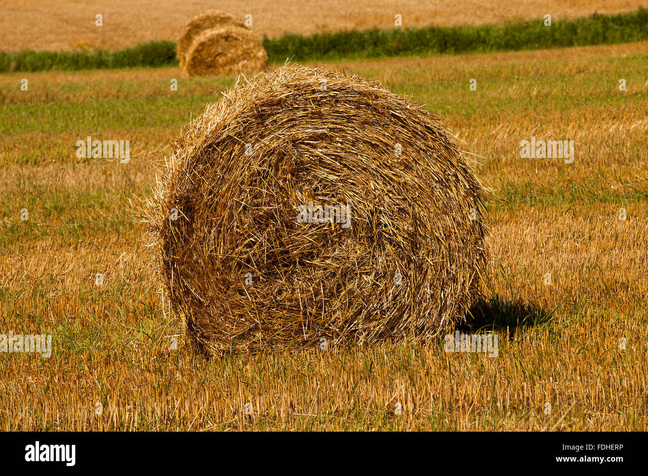 Colored bale hi-res stock photography and images - Alamy