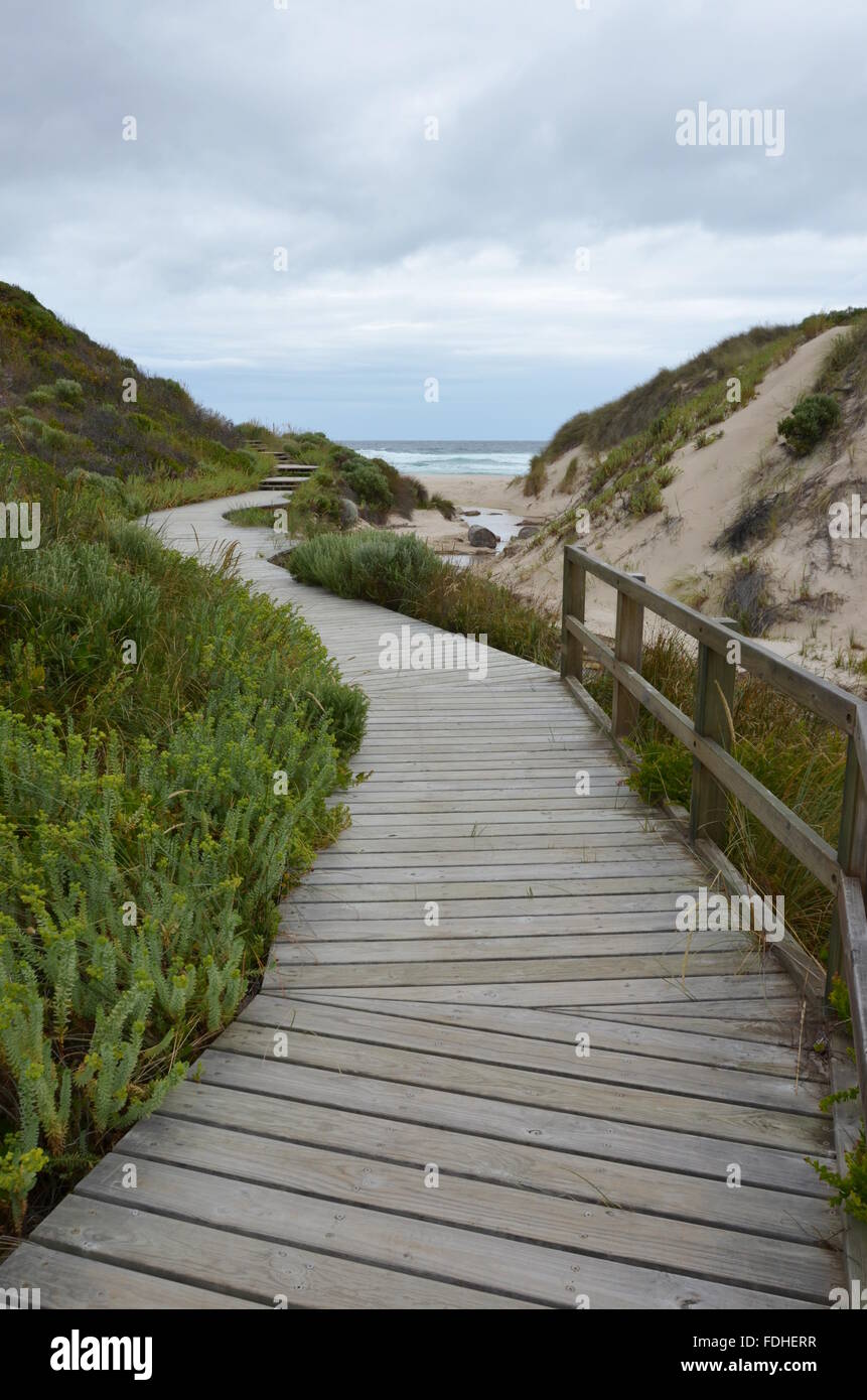 Walkway to the beach at Conspicuous Cliff, Western Australia Stock ...