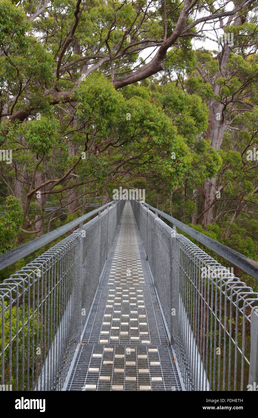 Tree top walk australia western hi-res stock photography and images - Alamy