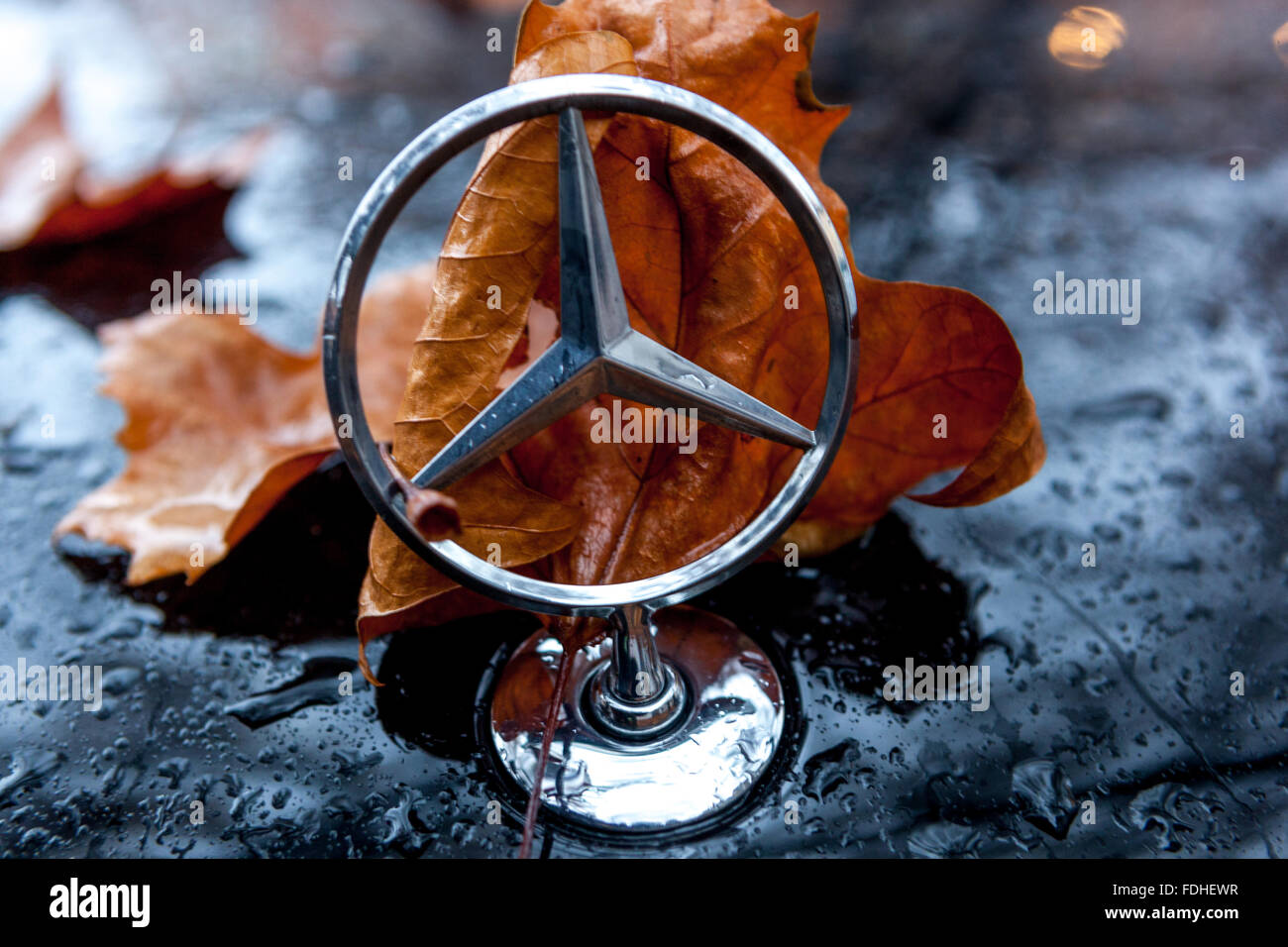 Symbol Old Mercedes Benz Car Stock Photos & Symbol Old Mercedes Benz ...