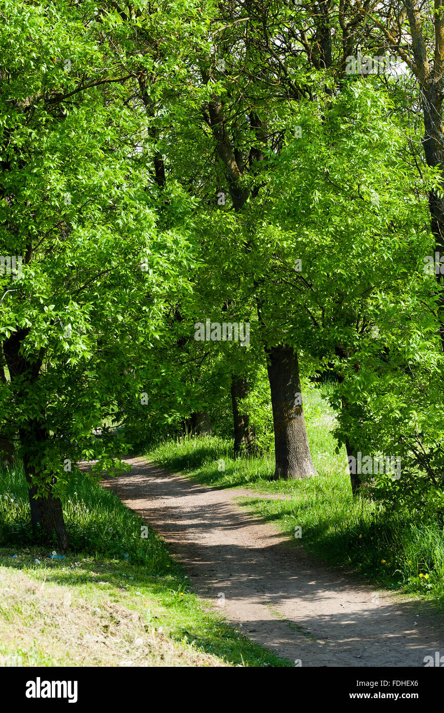 Spring road . countryside Stock Photo - Alamy