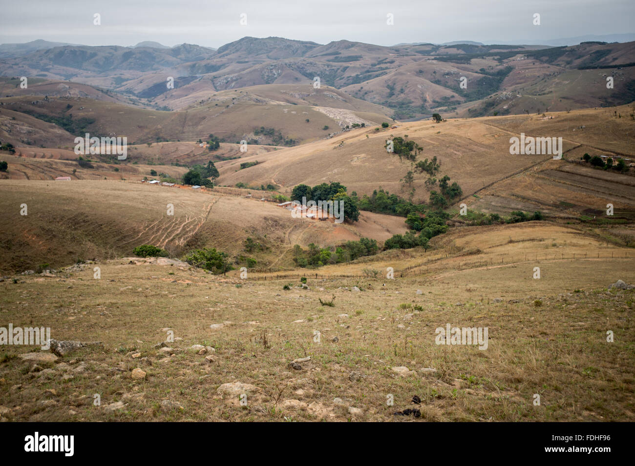 Swaziland agriculture hi-res stock photography and images - Alamy