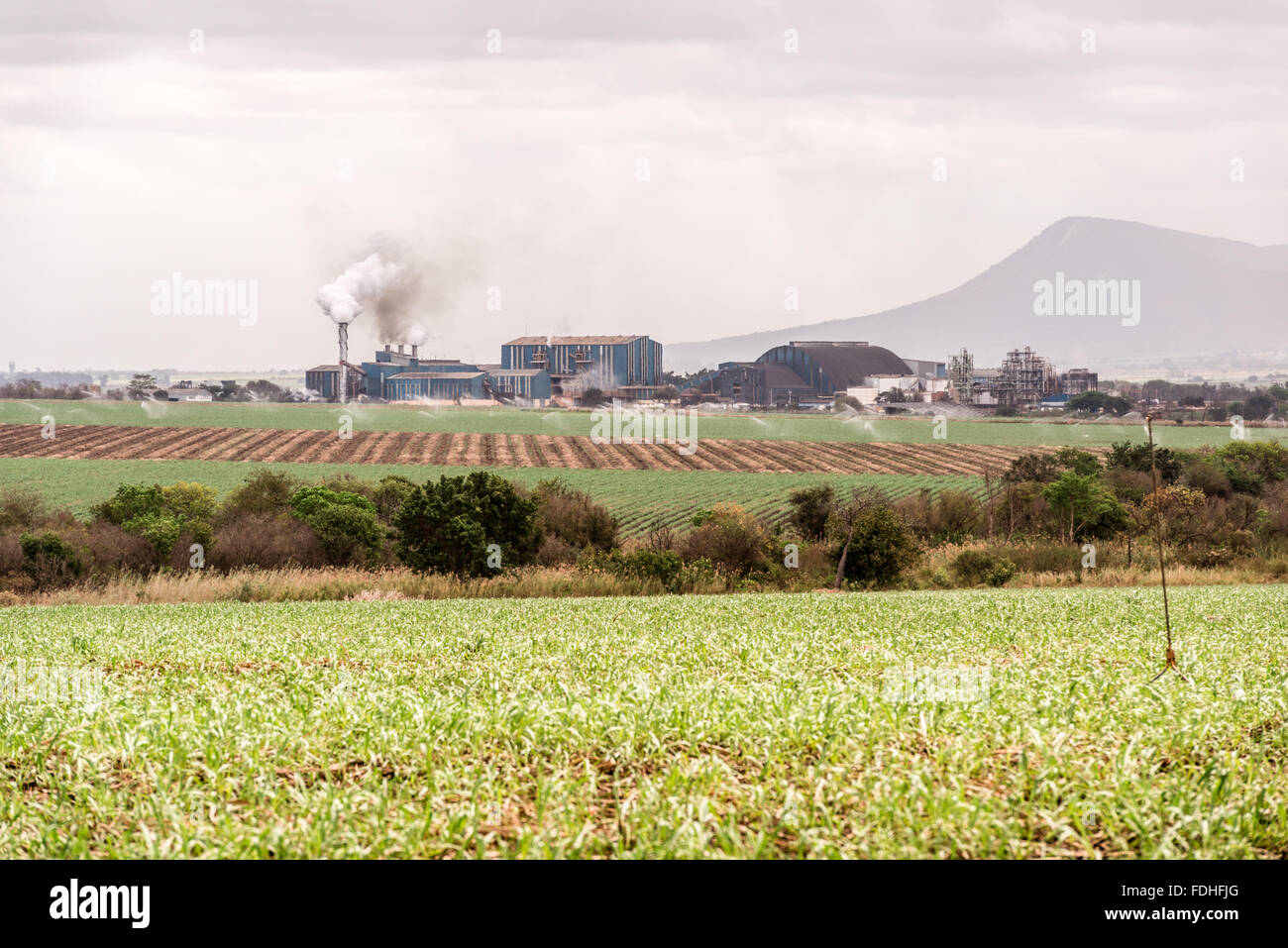 Sugar Refinery in Lubombo, Swaziland, Africa Stock Photo - Alamy