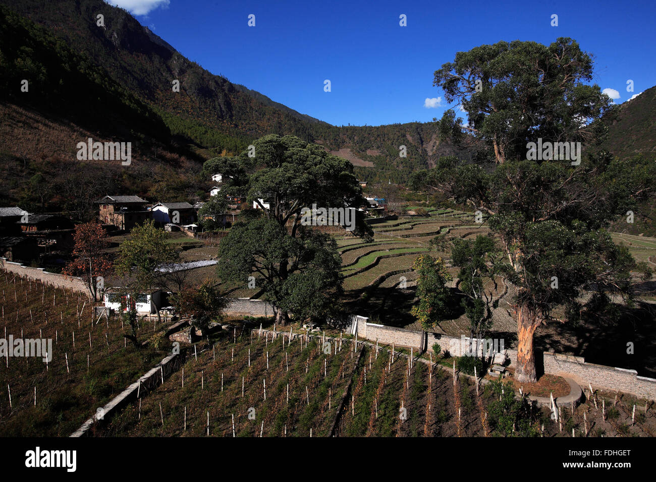 Meili Snow Mountain Deqin County Yunan Province China Stock Photo - Alamy
