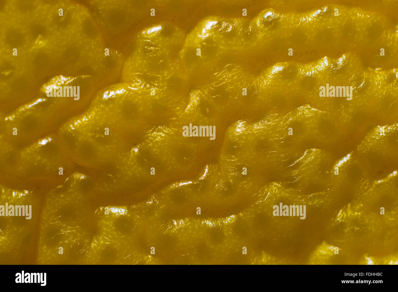 lemon peel close up Stock Photo - Alamy