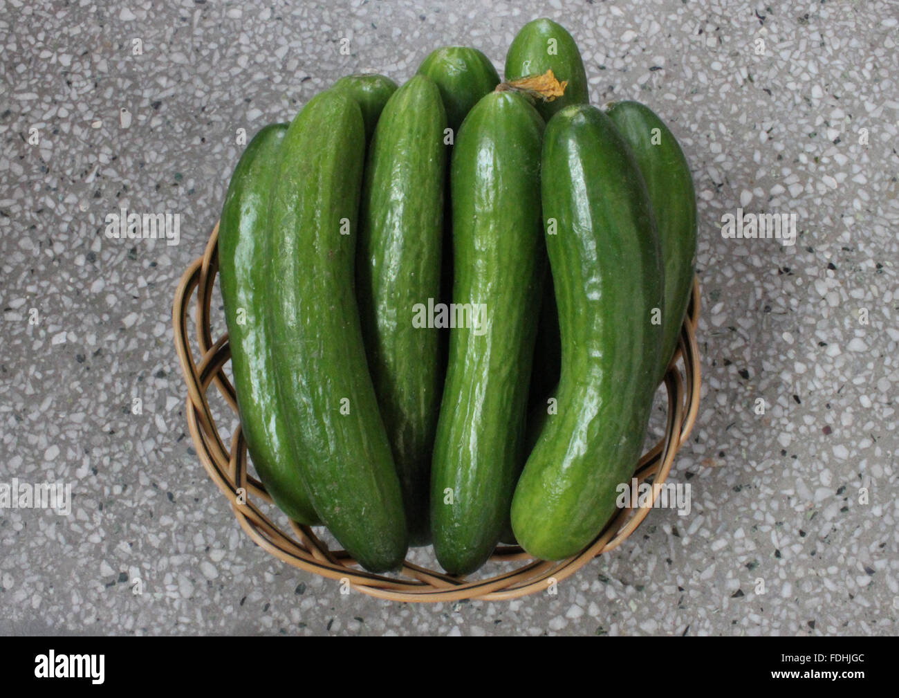 Cucumis sativus, Persian cucumber, thin skinned slender fruits with ...