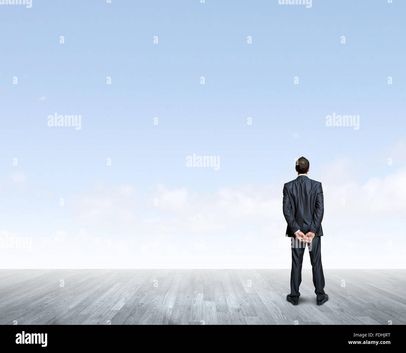 Back view of confident businessman looking into the distance Stock ...