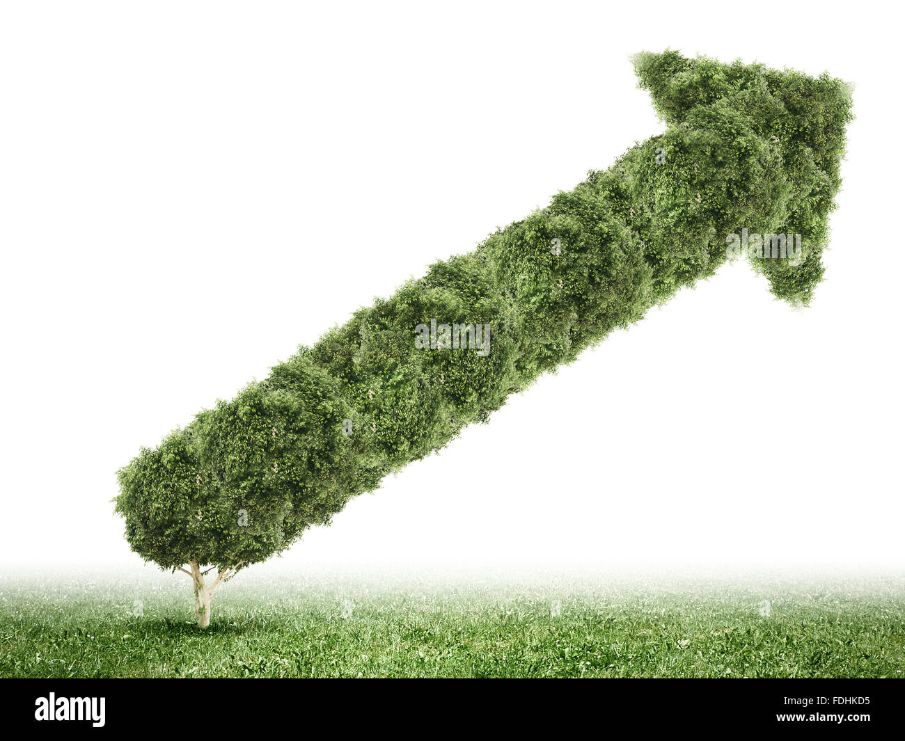 Conceptual image of green plant shaped liked graph Stock Photo - Alamy