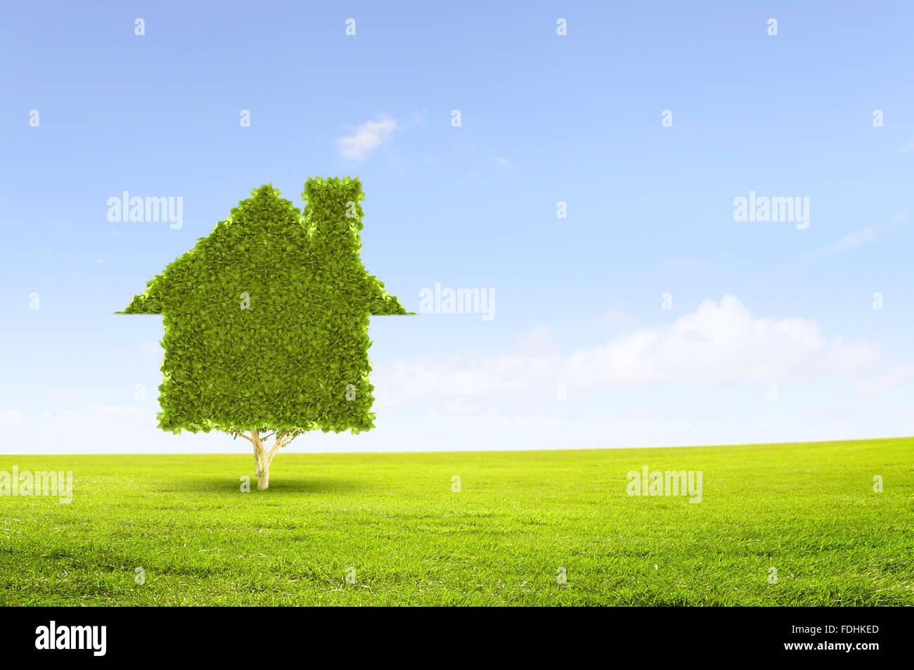 Tree shaped like house hi-res stock photography and images - Alamy