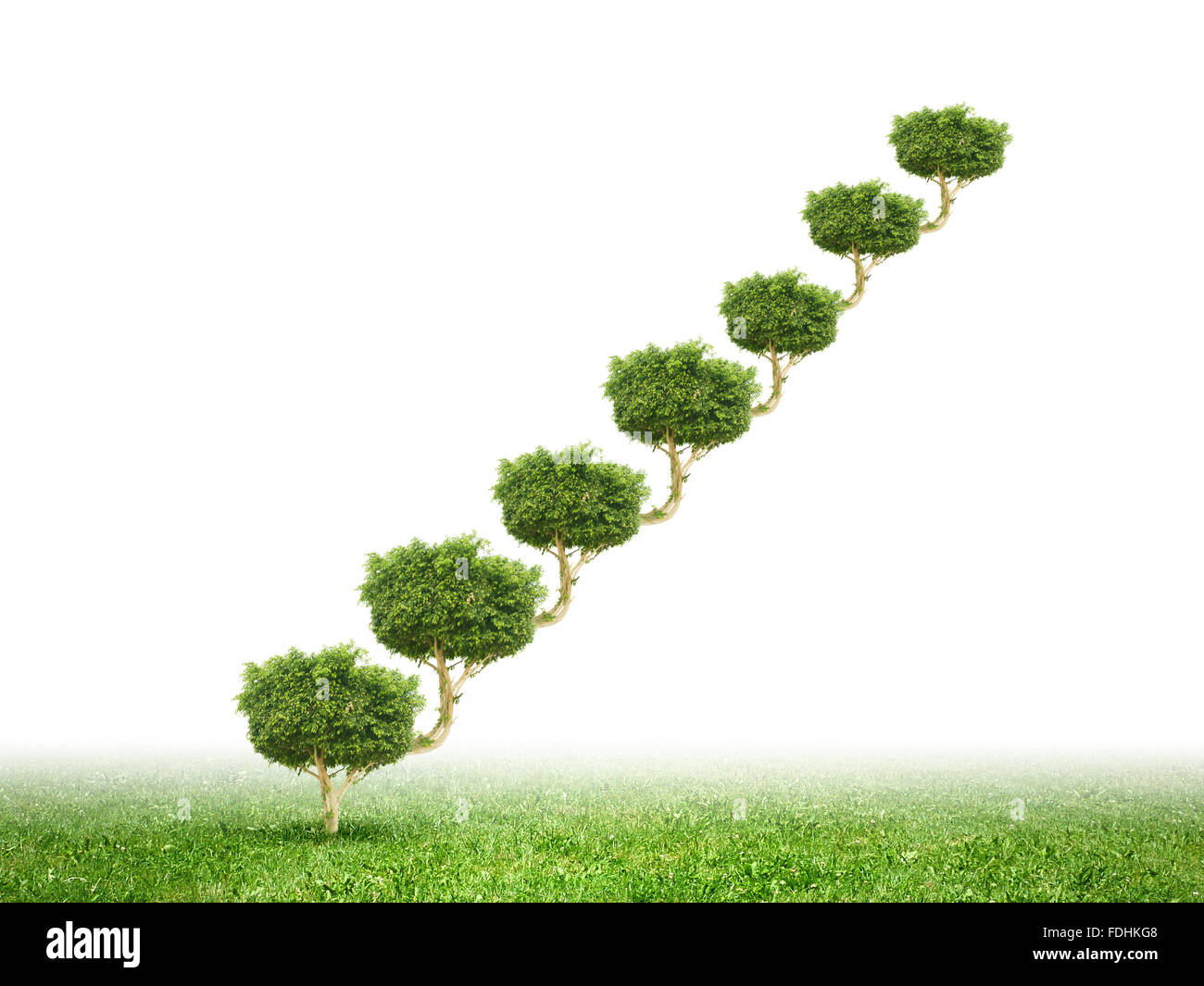 Conceptual image of green plant shaped like ladder Stock Photo - Alamy