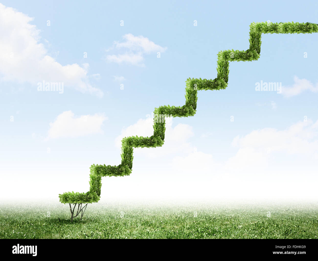 Ladder shaped pattern hi-res stock photography and images - Alamy