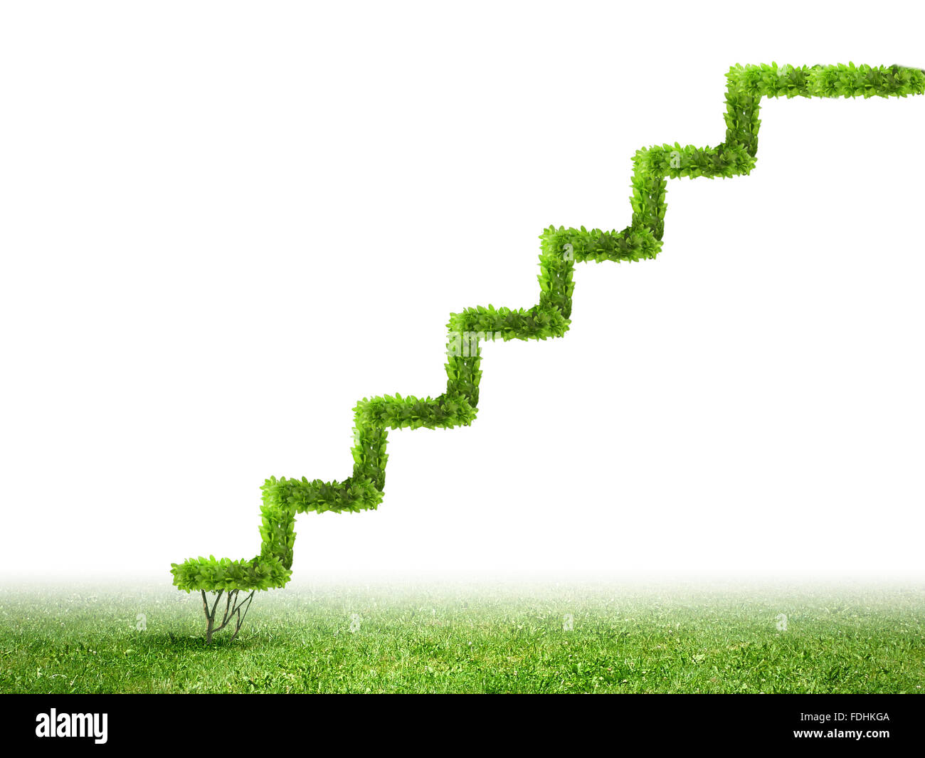 Ladder shaped pattern hi-res stock photography and images - Alamy