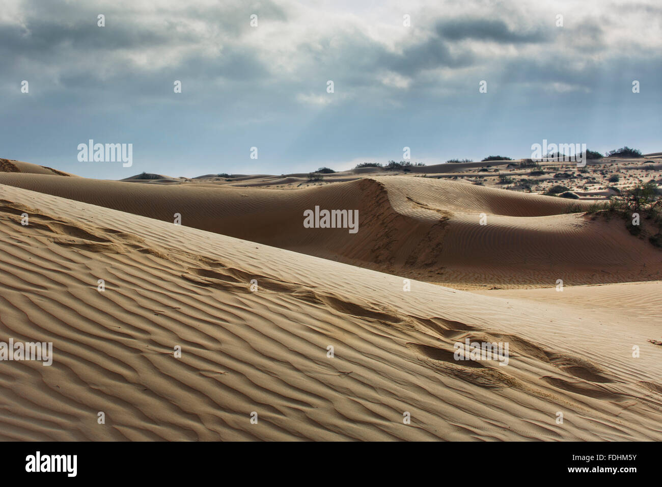 Human in desert hi-res stock photography and images - Alamy