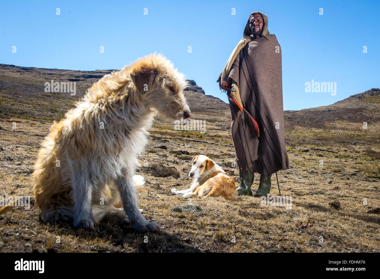 Portrait of a shepherd in lesotho hi-res stock photography and images ...