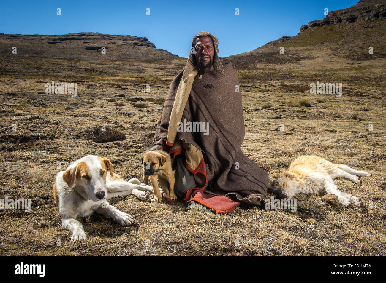 Portrait of a local shepherd with his dogs wrapped in a blanket in the ...