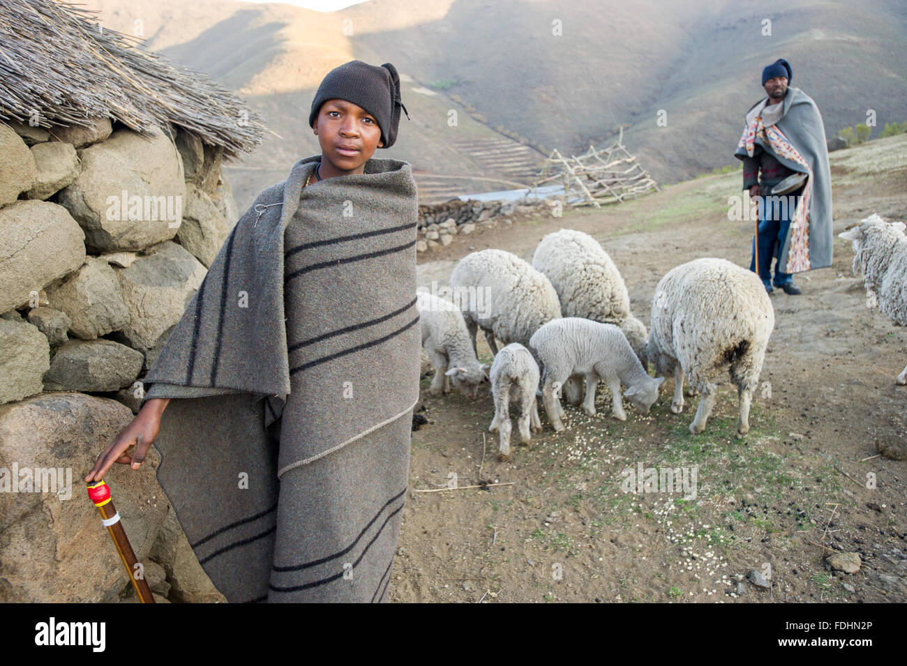Shepherd Boy With Sheep