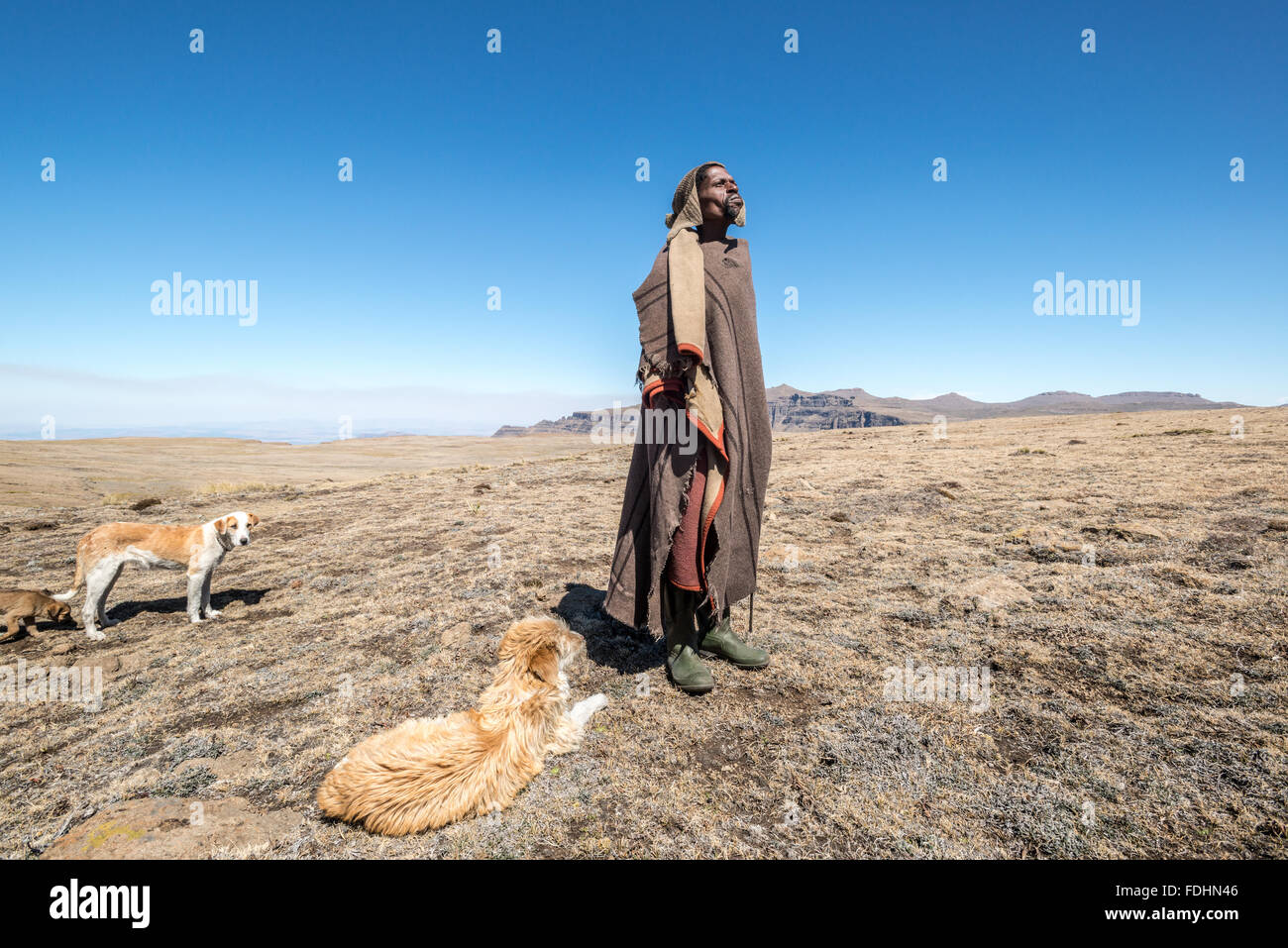 Portrait of a local shepherd with his dogs wrapped in a blanket in the ...