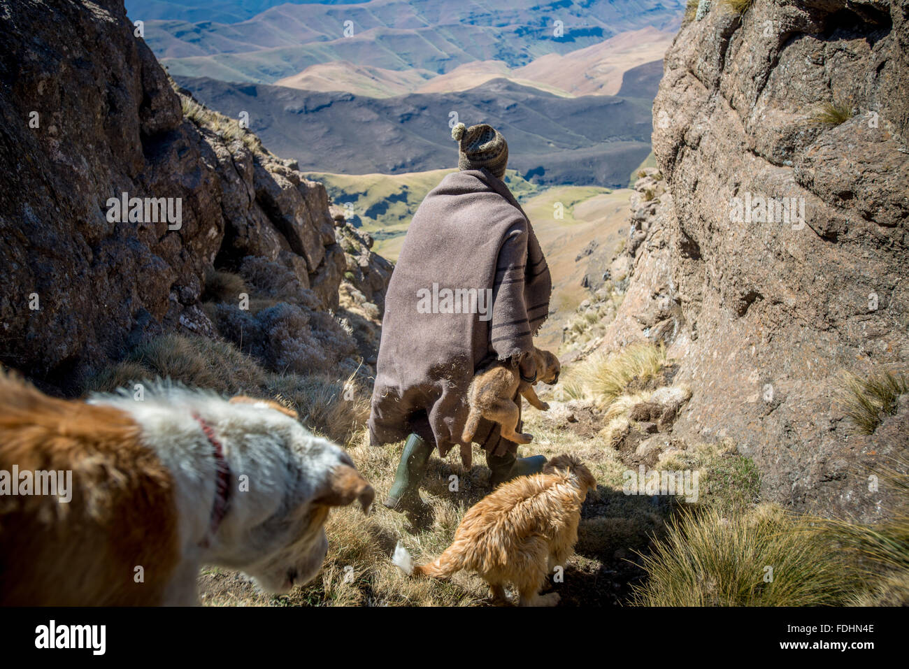 Walking shepherd hi-res stock photography and images - Alamy