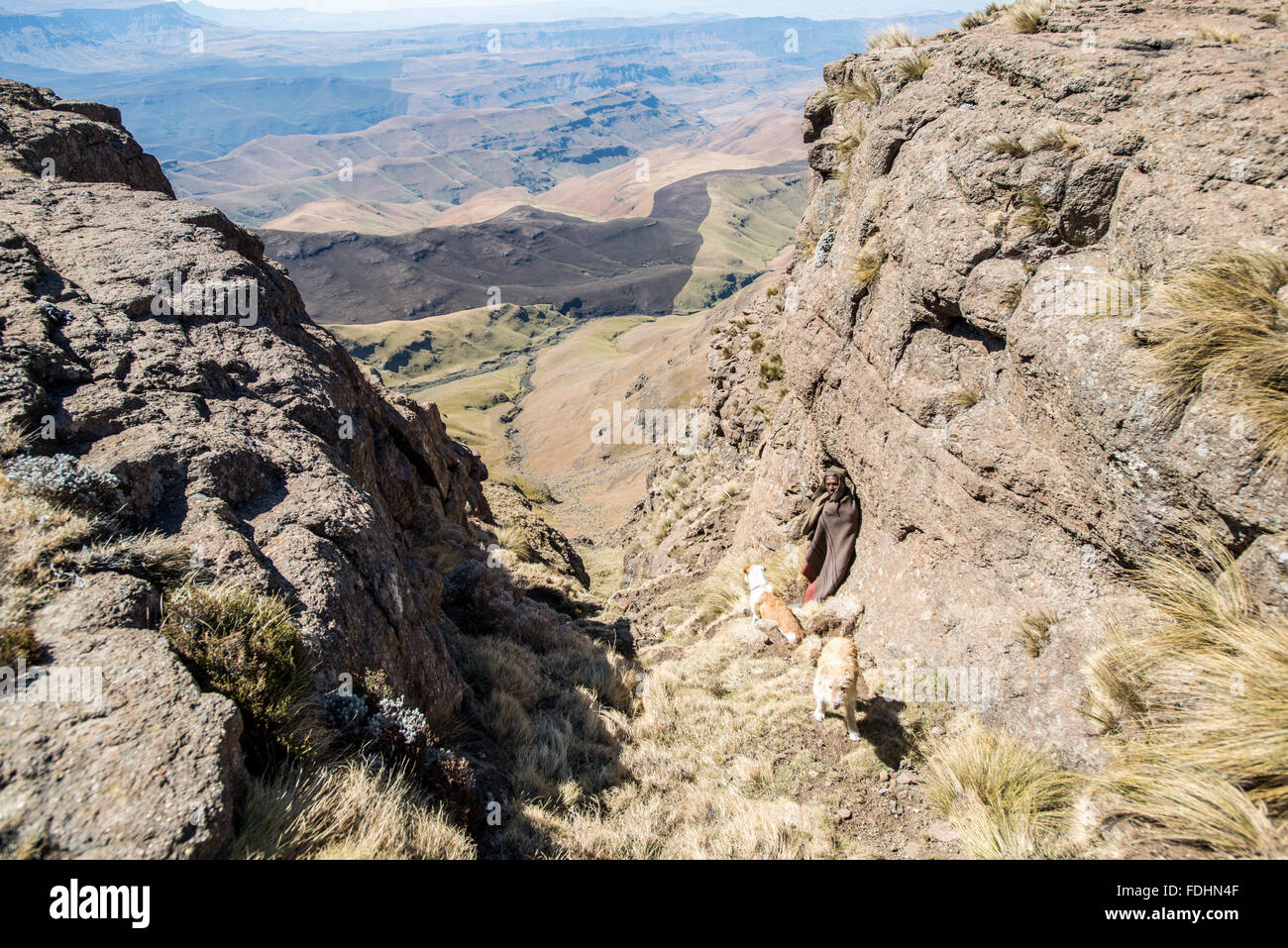 Local shepherd and his dogs standing on rocky terrain in Lesotho ...