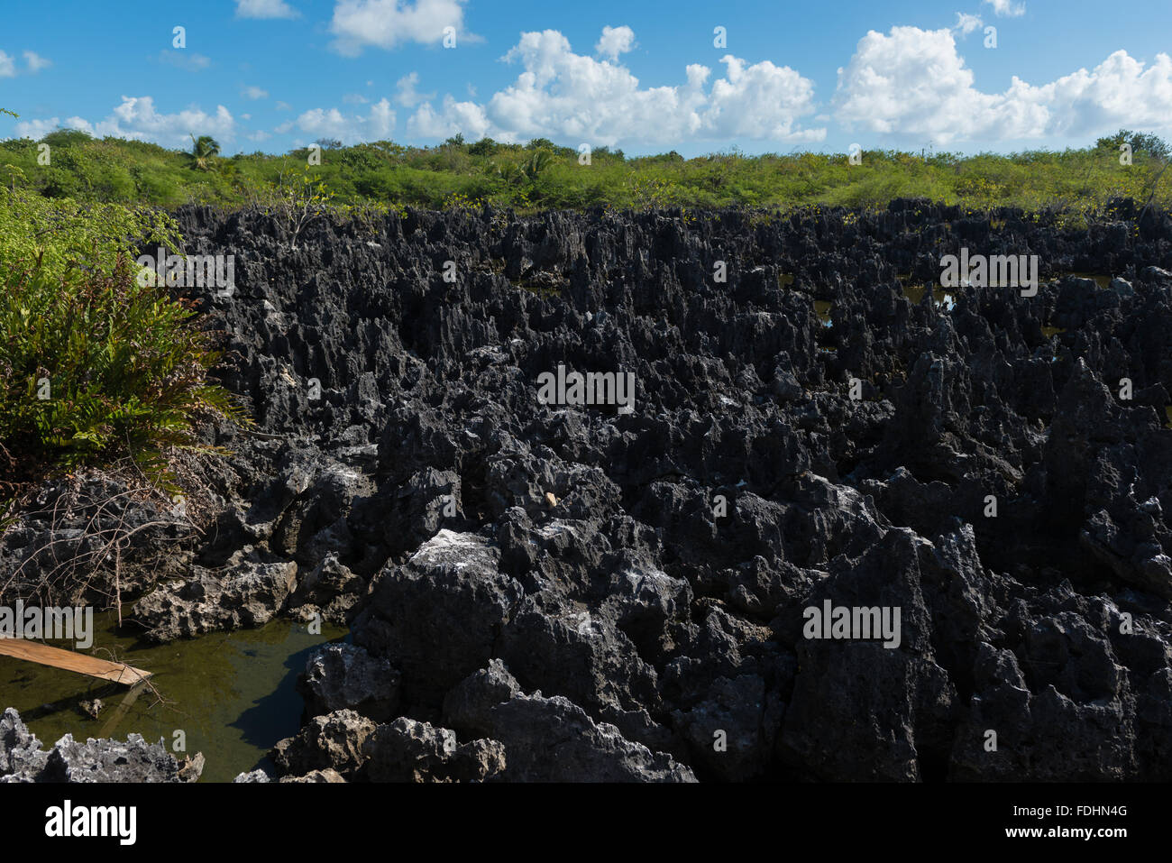 Grand Cayman Hell Limestone Landscape Stock Photo - Alamy