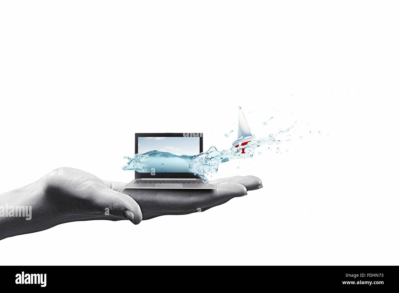 Close up of laptop with fish jumping out from screen Stock Photo - Alamy