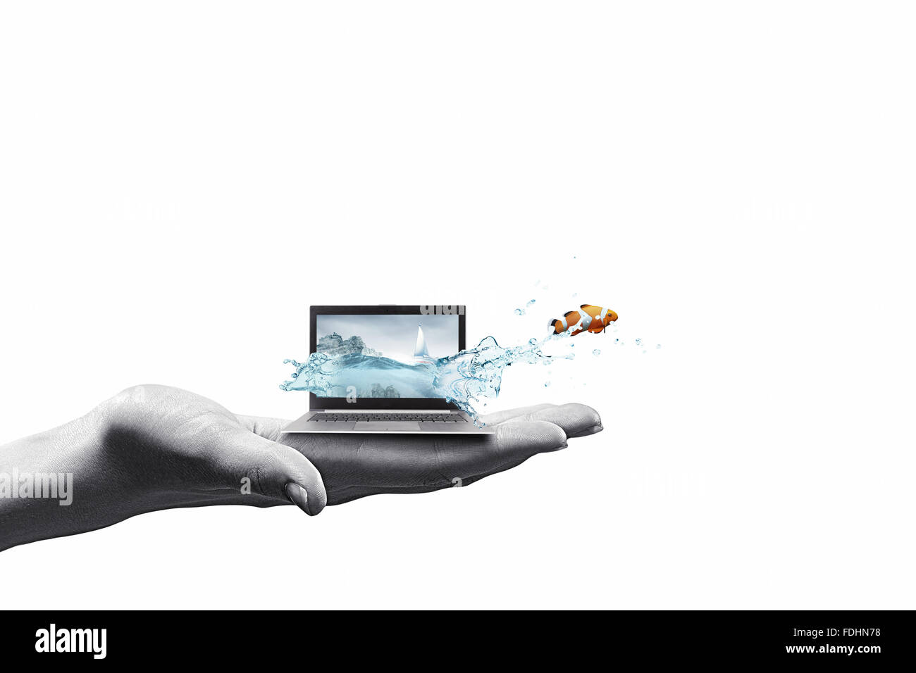 Gold fish jumping out screen hi-res stock photography and images - Alamy