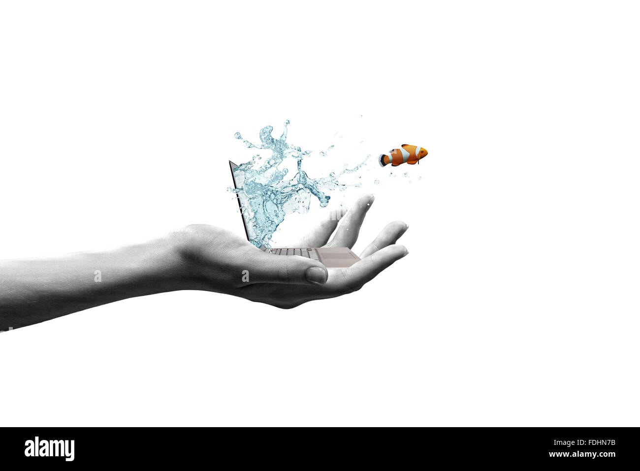 Gold fish jumping out screen hi-res stock photography and images - Alamy