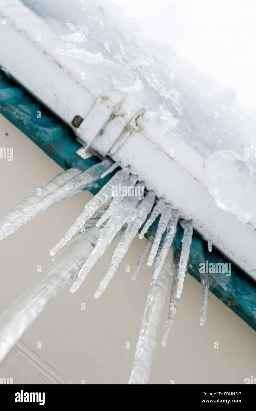 O shapes in nature hi-res stock photography and images - Alamy