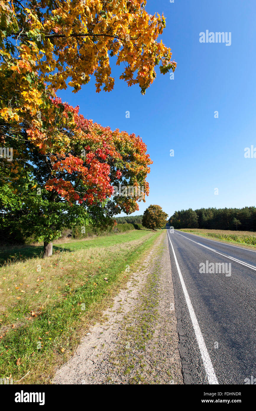 small country road Stock Photo - Alamy