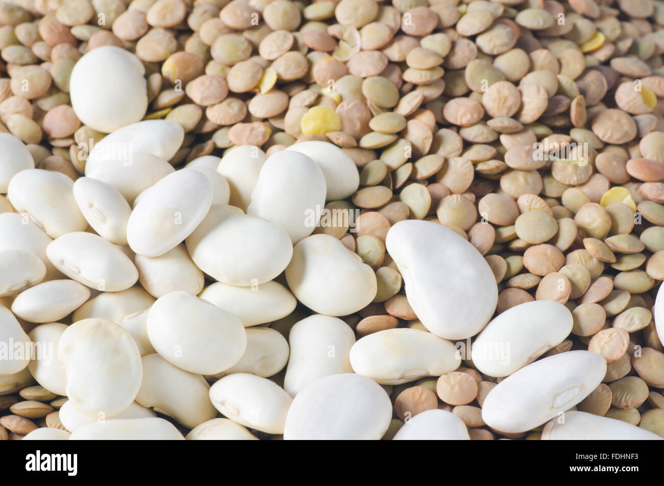 Green lentil beans hi-res stock photography and images - Alamy