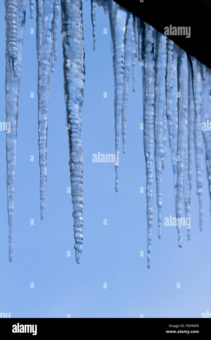 Icicles in all different shapes and sizes hanging down from the gutters ...