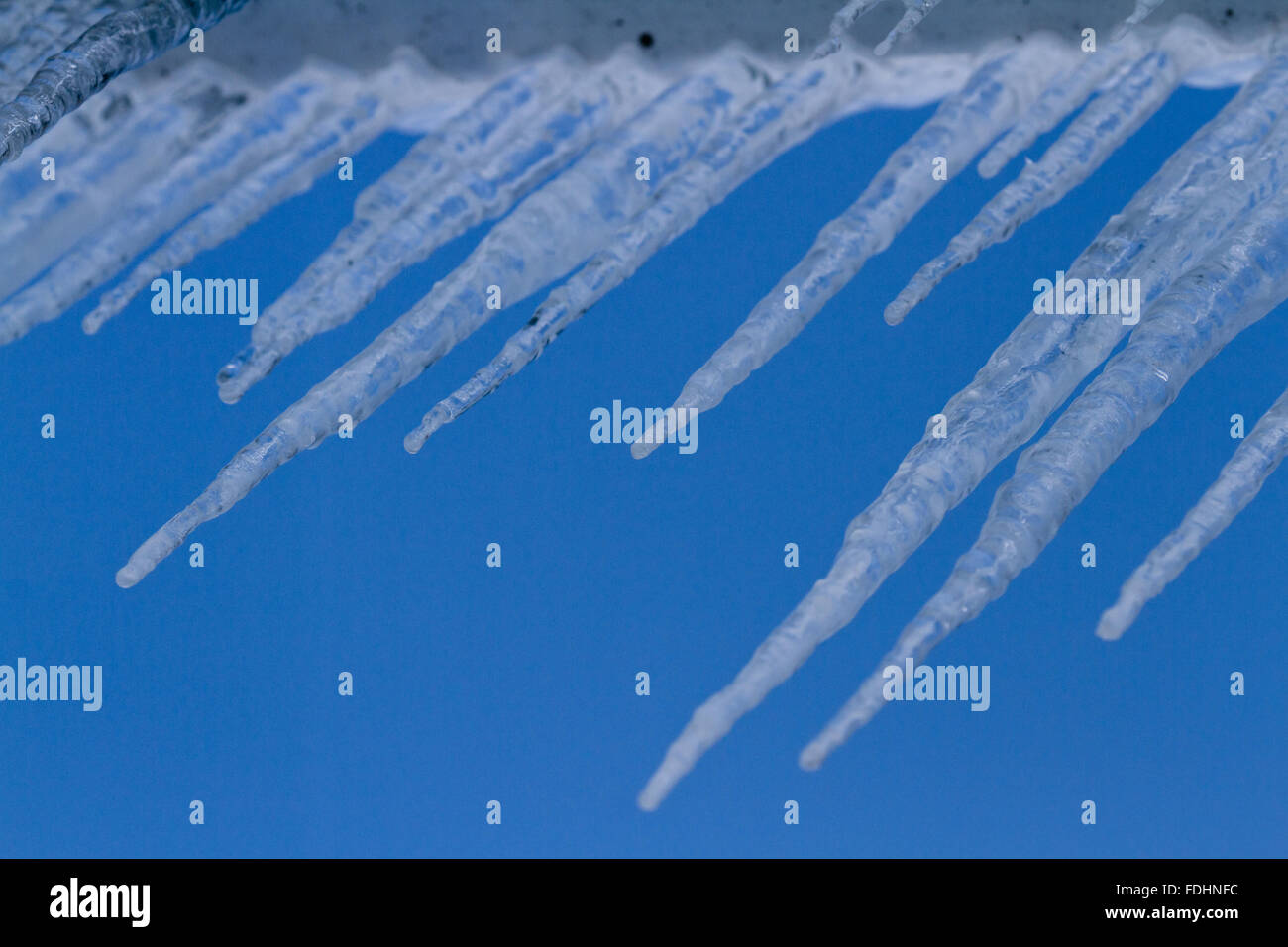 Icicles in all different shapes and sizes hanging down from the gutters ...