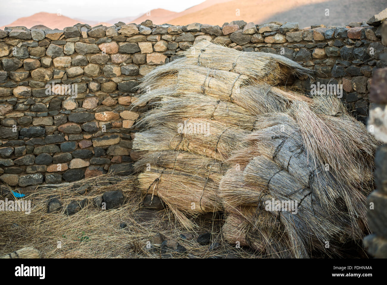 Bundles of thatch stacked in front of a stone wall in a village in ...