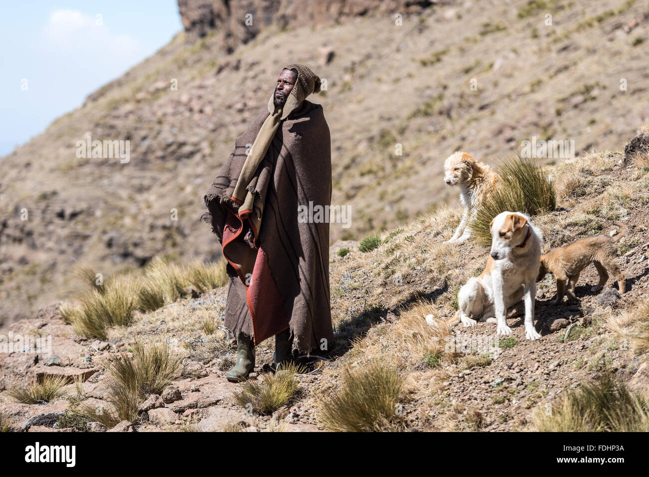 Portrait of a local shepherd with his dogs wrapped in a blanket in the ...