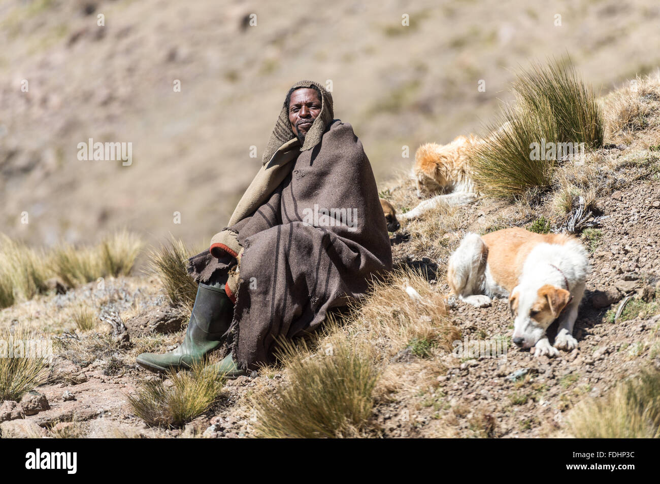 Portrait of a shepherd in lesotho hi-res stock photography and images ...