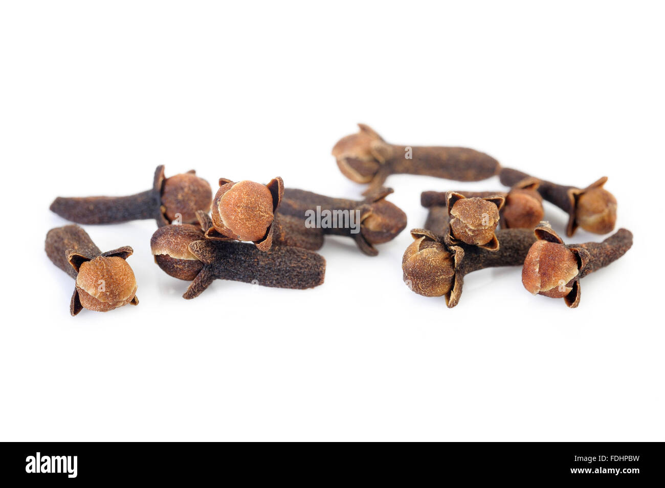 spice cloves isolated on white background Stock Photo - Alamy