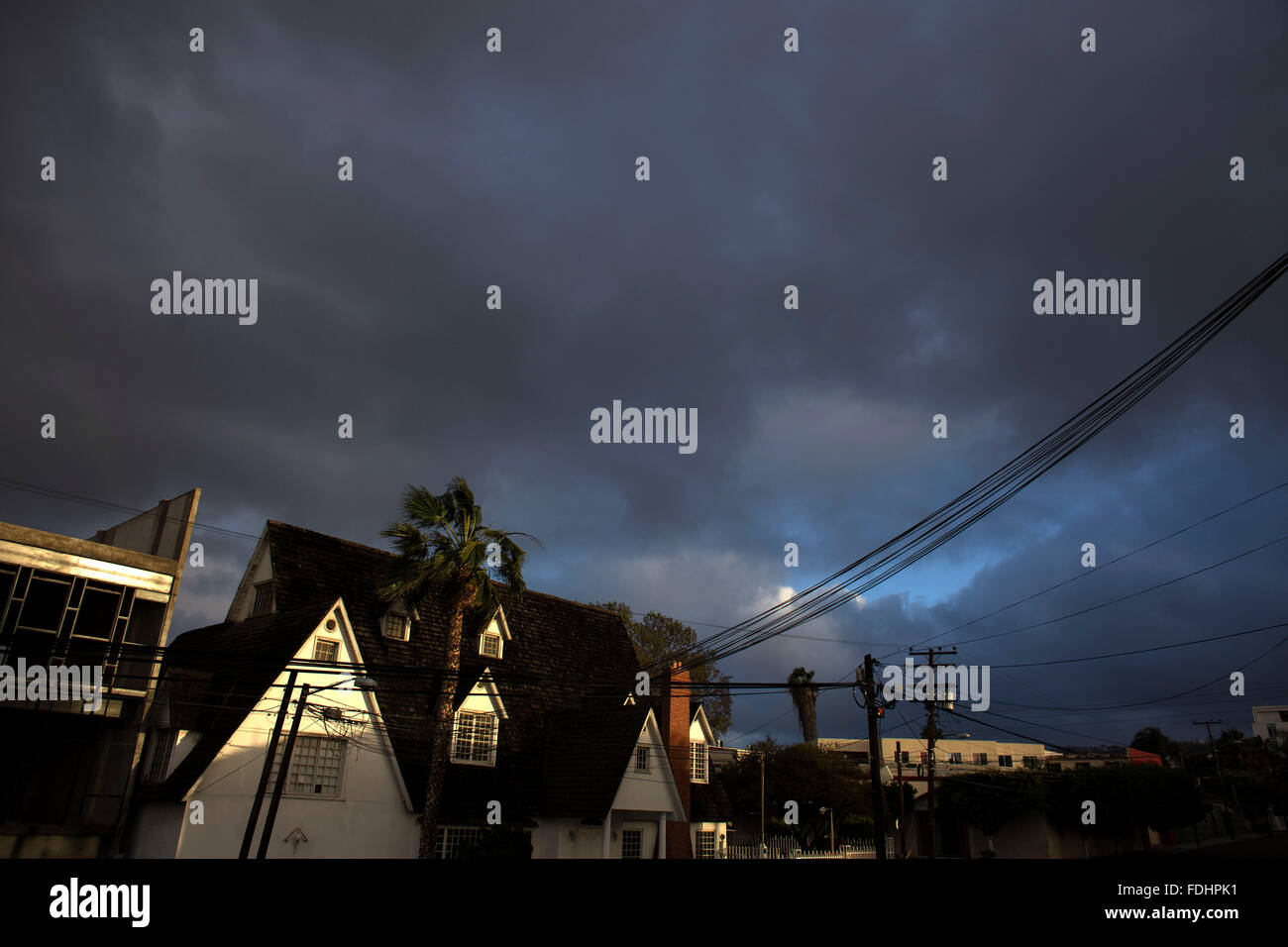 Tijuana, Mexico. 31st Jan, 2016. A palm tree is moved by strong winds ...