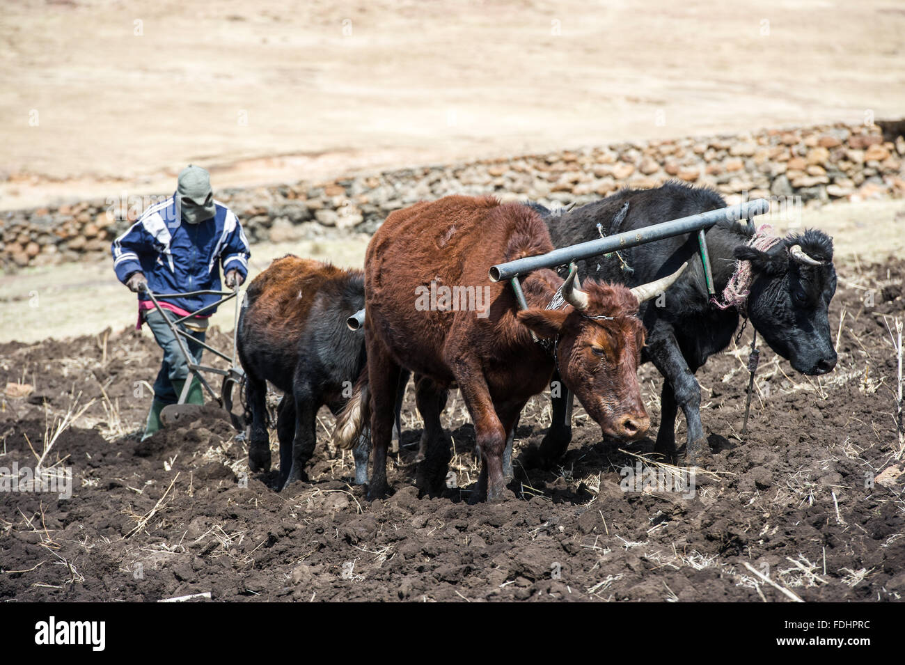 Plow Up Stock Photos & Plow Up Stock Images - Alamy
