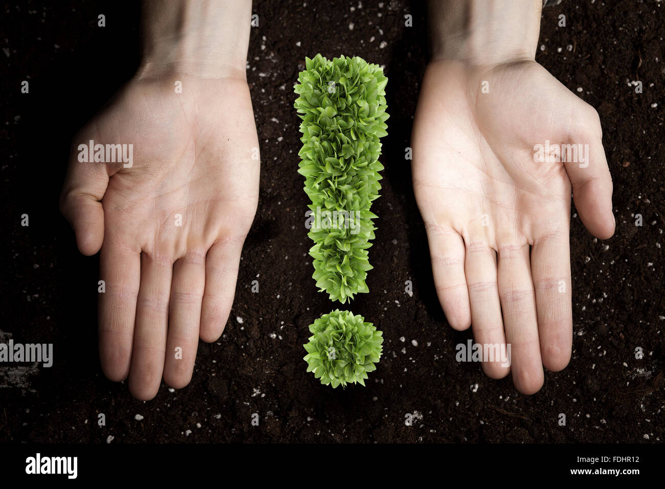 Exclamation green mark in male palms on soil background Stock Photo - Alamy