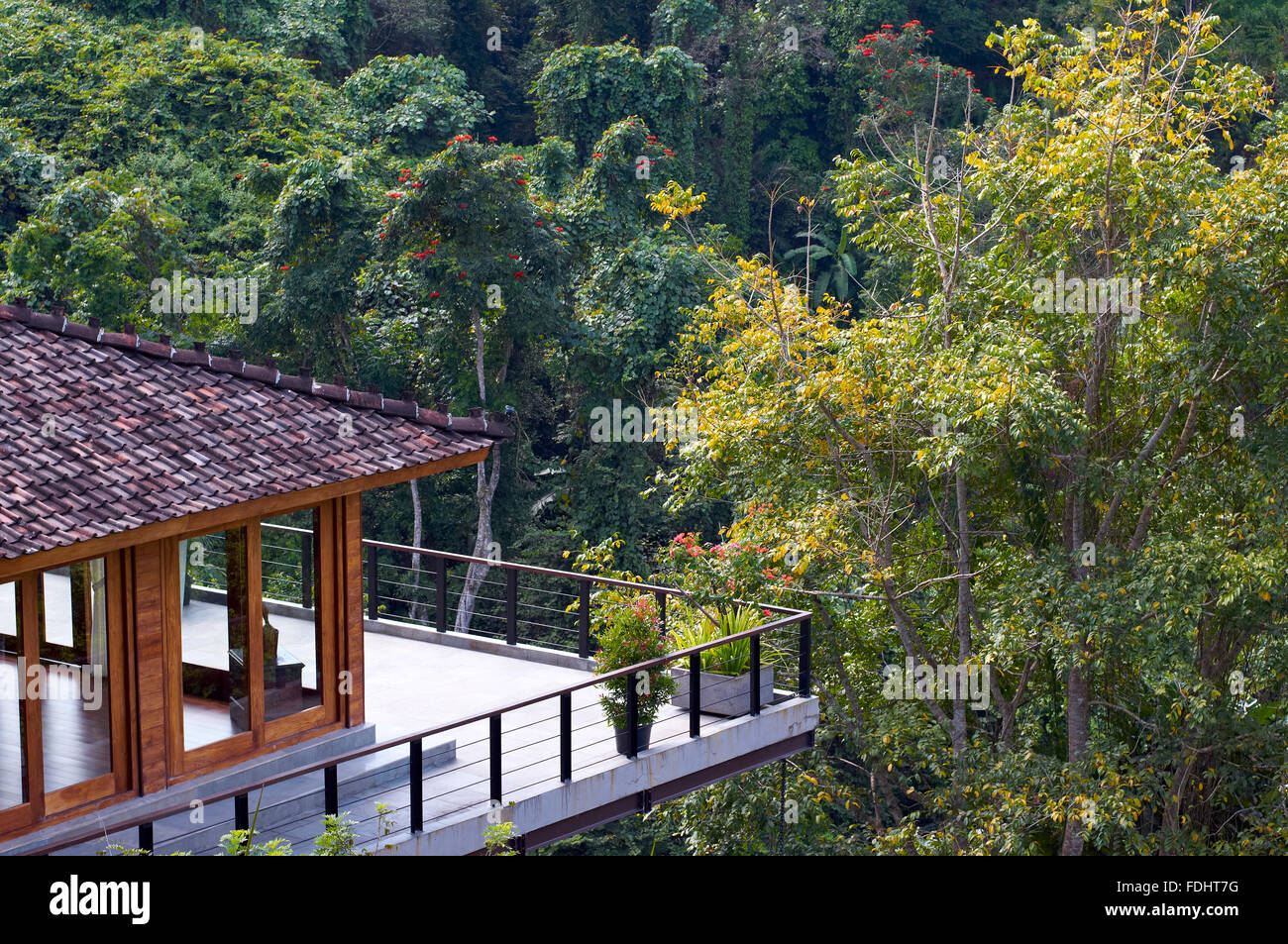 house in forest, Bali Island Stock Photo - Alamy