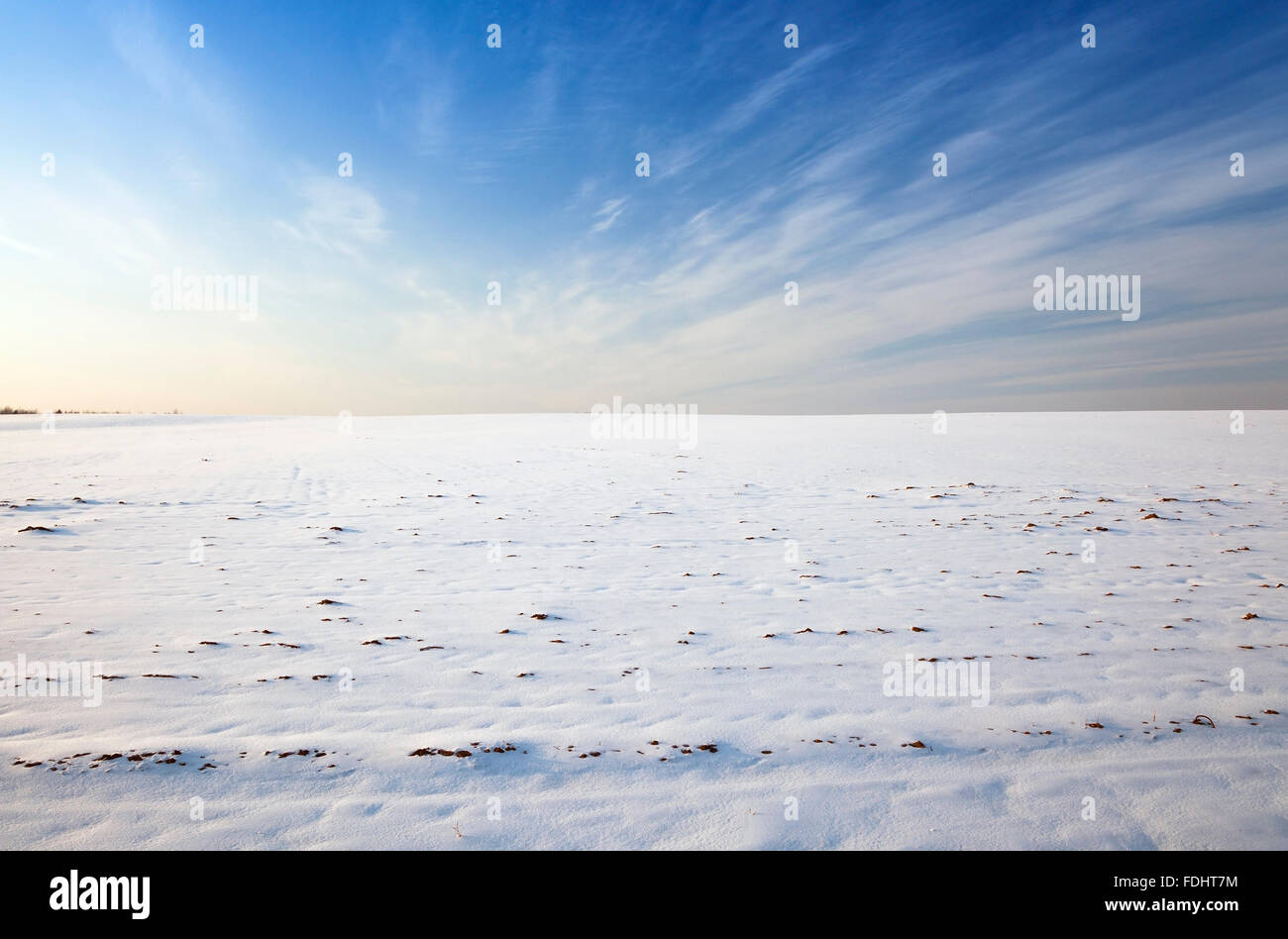 the field covered with snow Stock Photo - Alamy