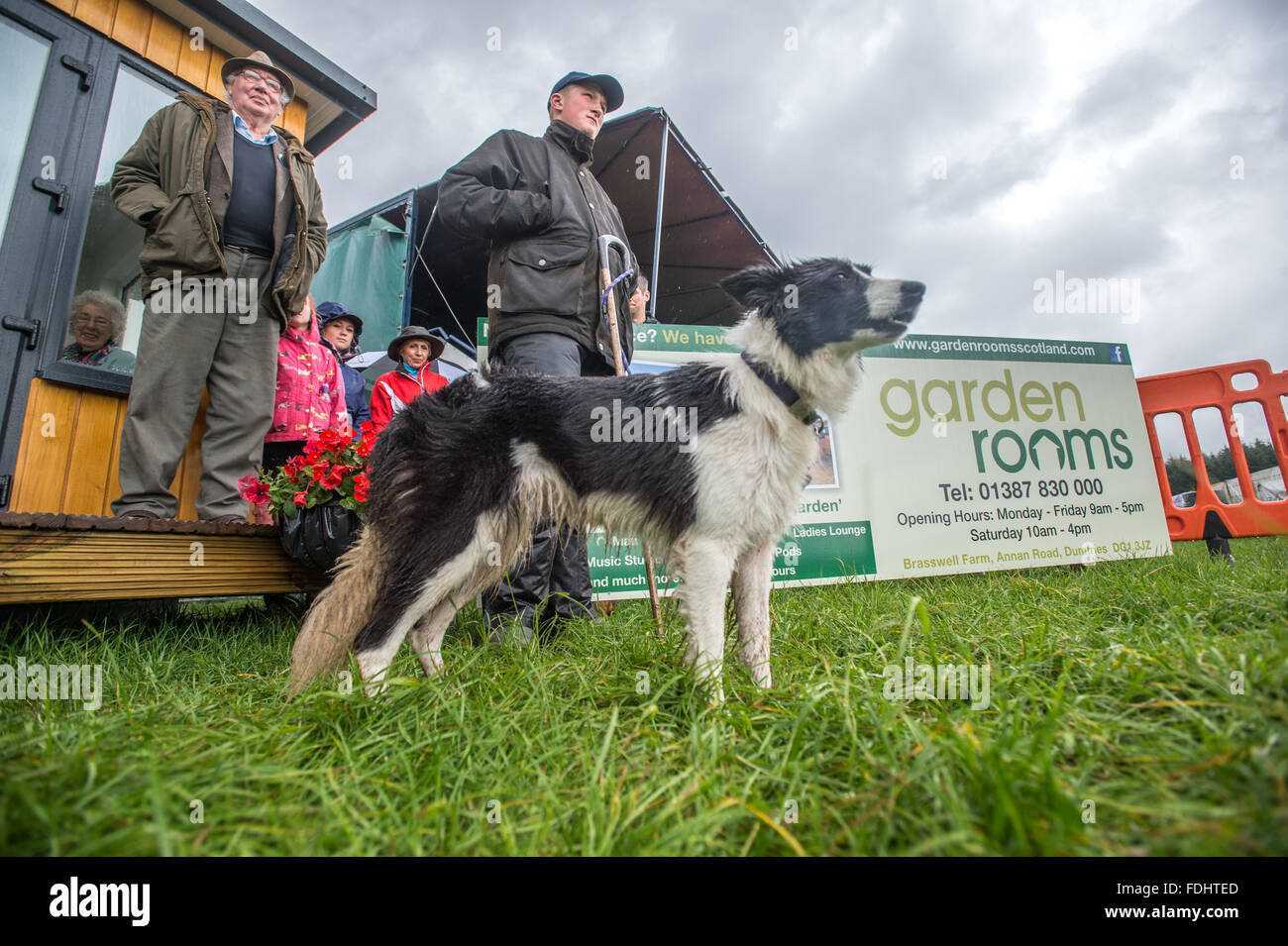 Border Collie and spectators watching the International Sheep Dog ...