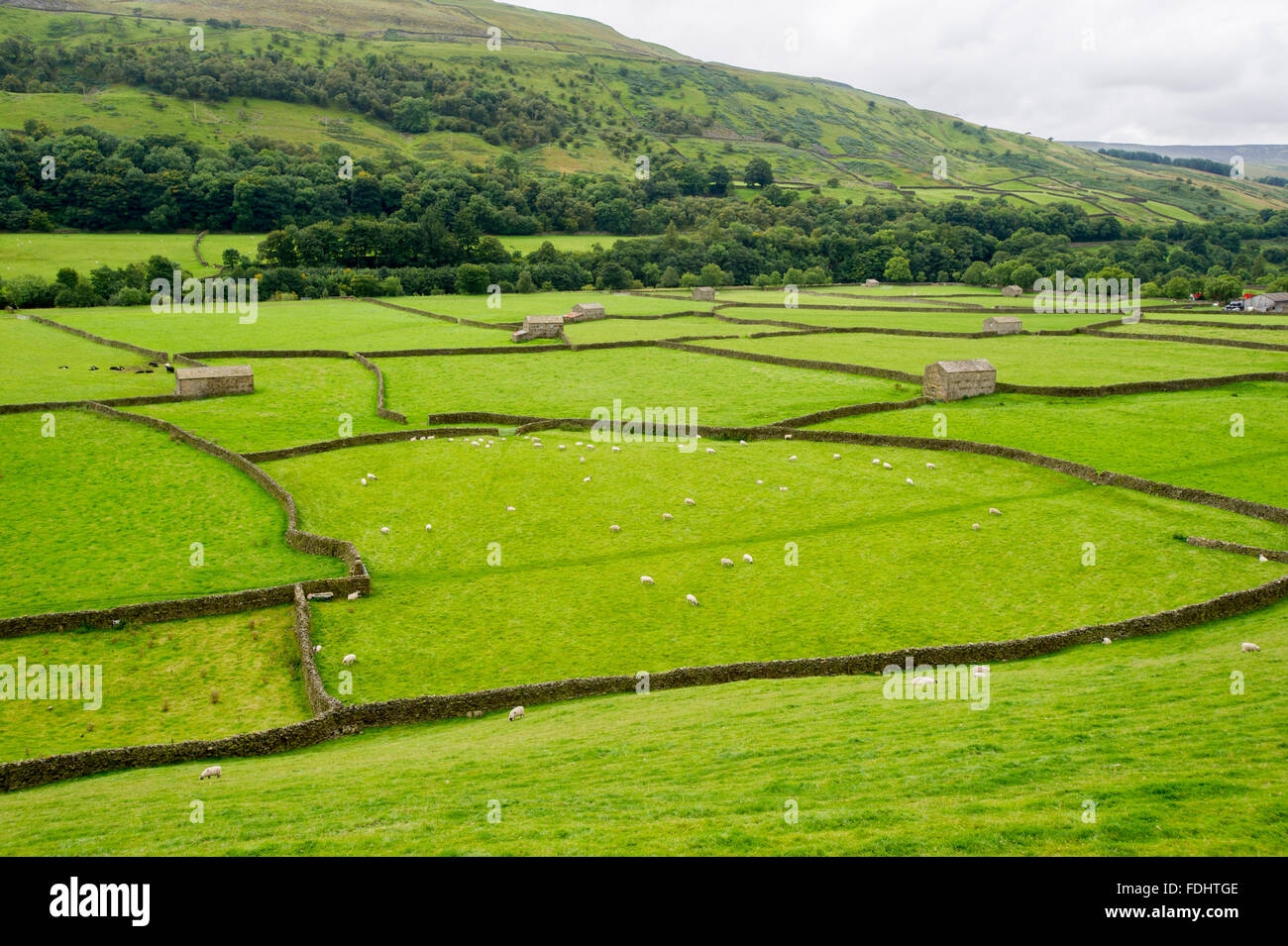 Yorkshire Dales in Yorkshire, England, UK Stock Photo - Alamy