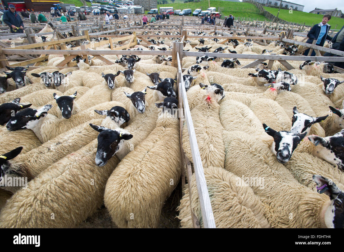 Hawes auction mart hi-res stock photography and images - Alamy