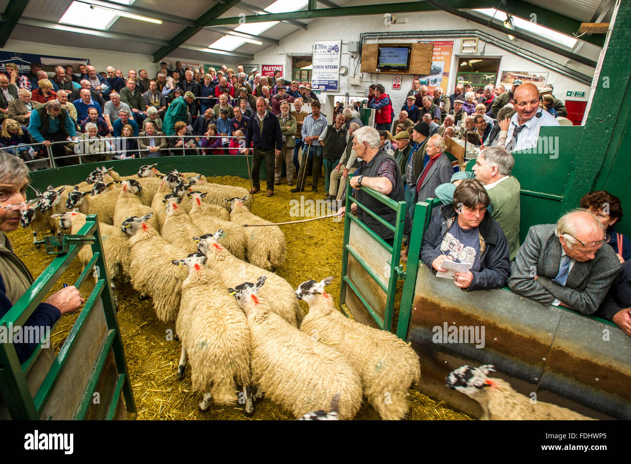 Hawes auction mart hi-res stock photography and images - Alamy